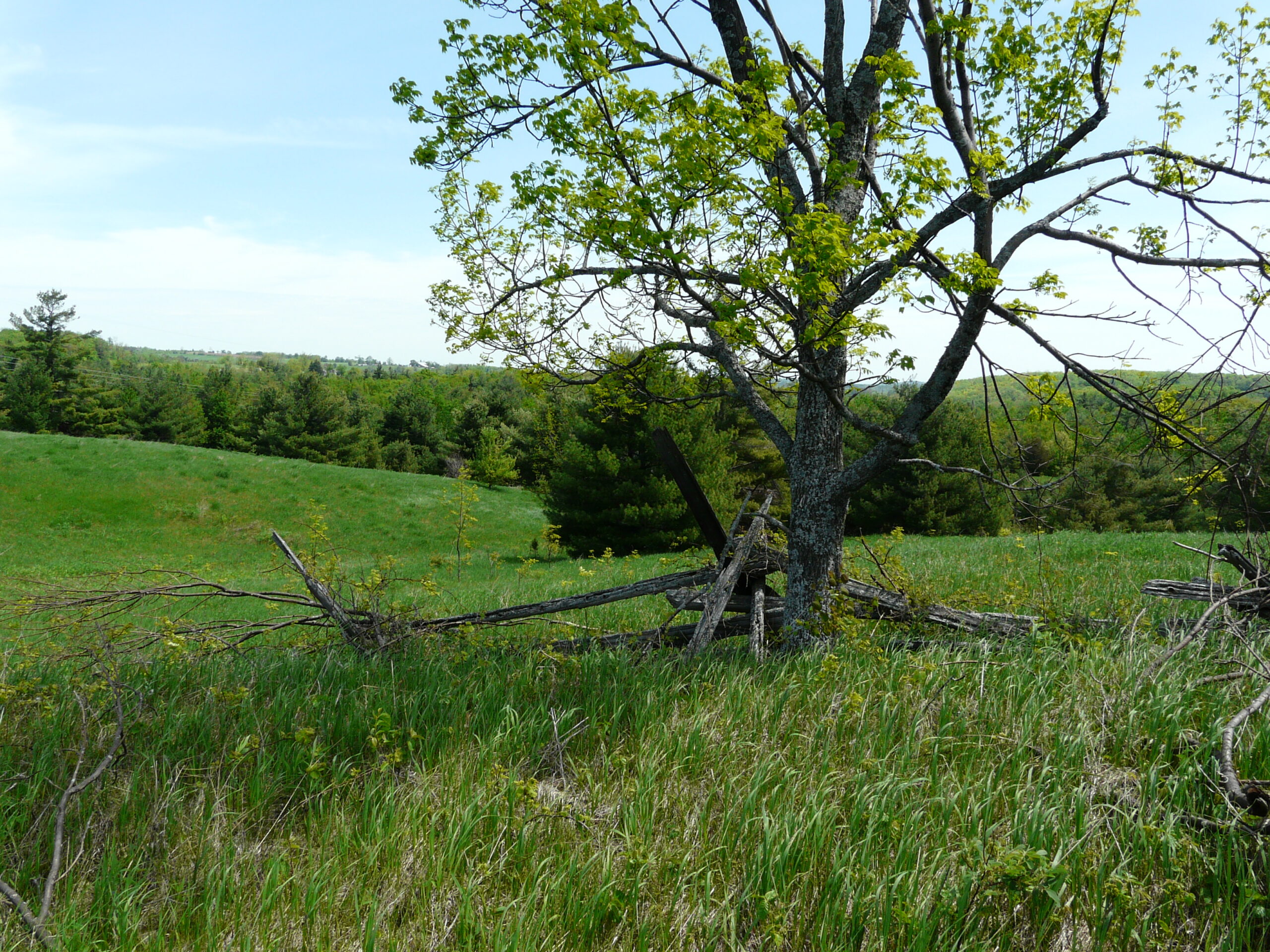 Alderville Woods - Lower Trent Conservation