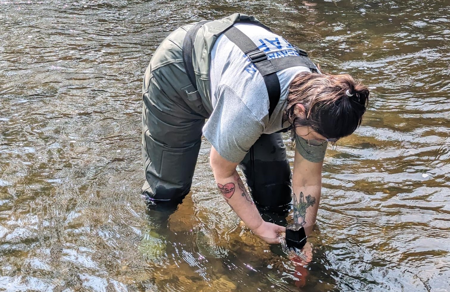 Lower Trent Conservation Launches Watershed Health and Brook Trout ...