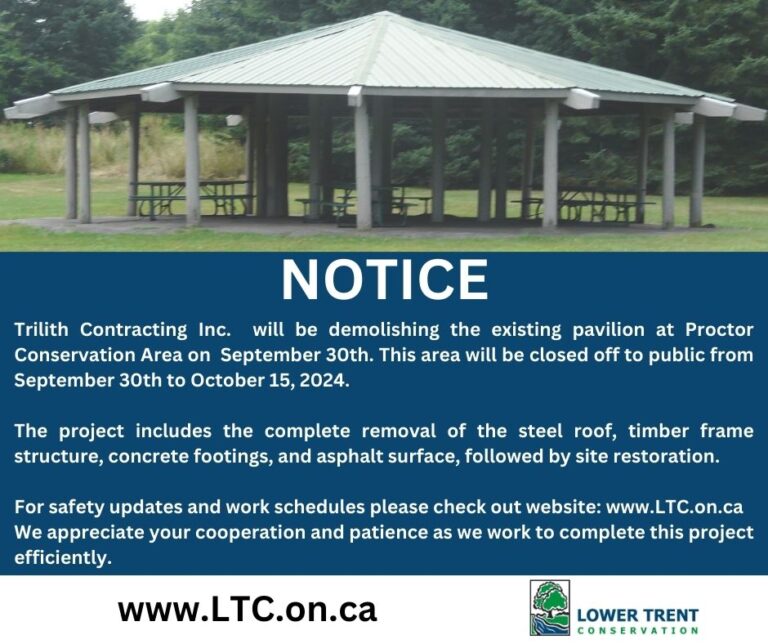 A New Chapter for Proctor Park Pavilion: Plans for Demolition and ...